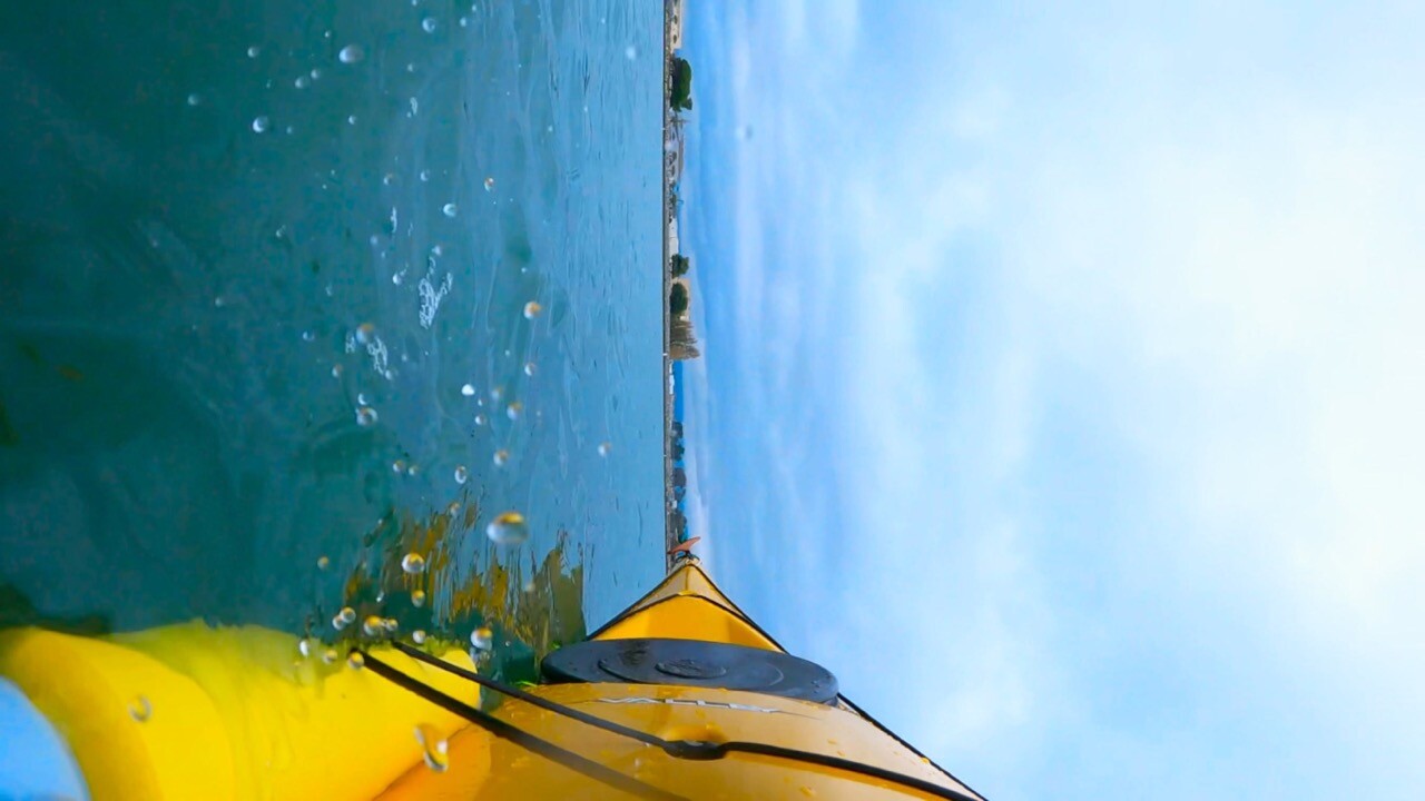 rowan (@rowan@sfba.social) - SFBA.social