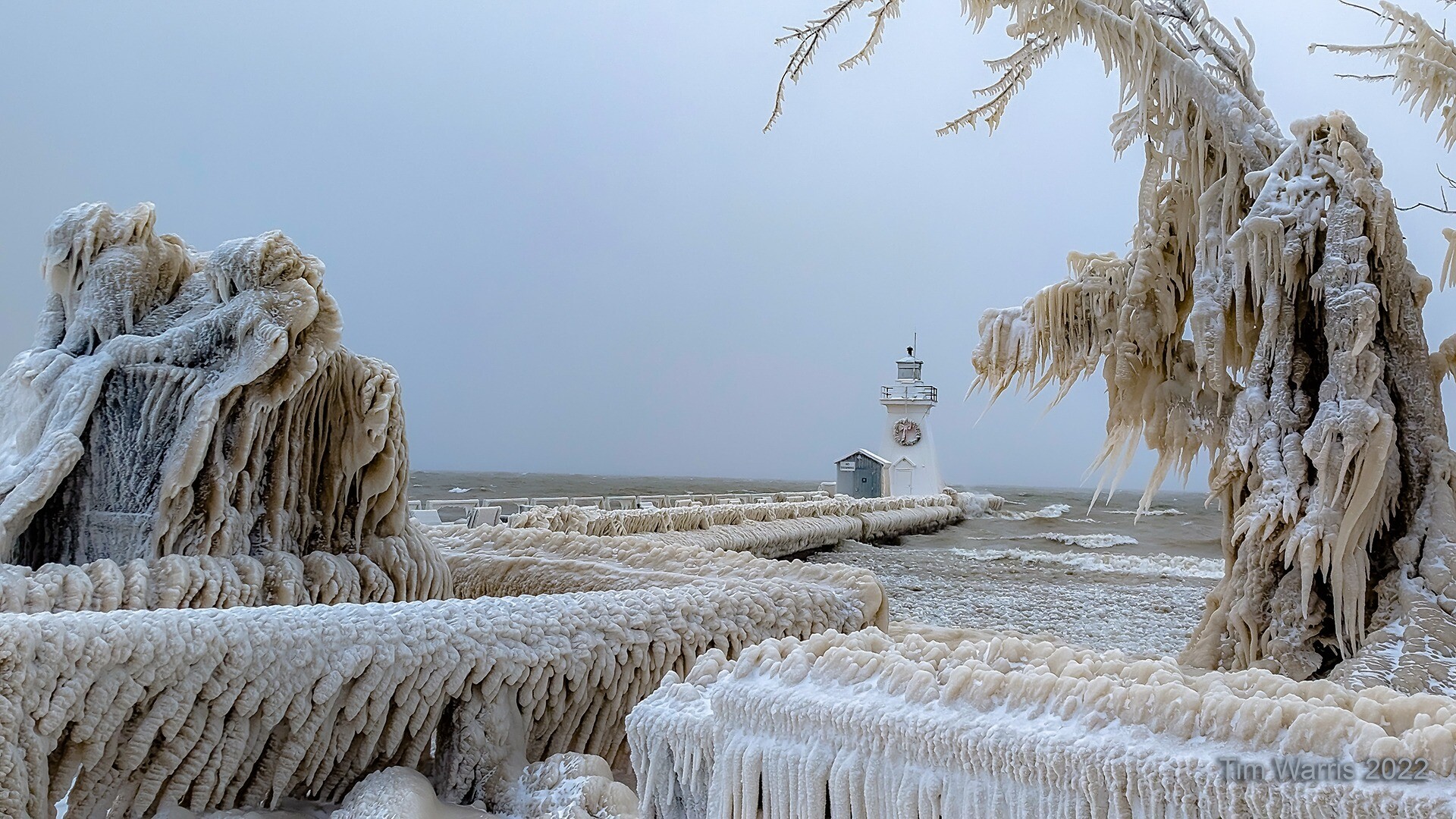 Celia Popovic (@celiapop@c.im) - C.IM