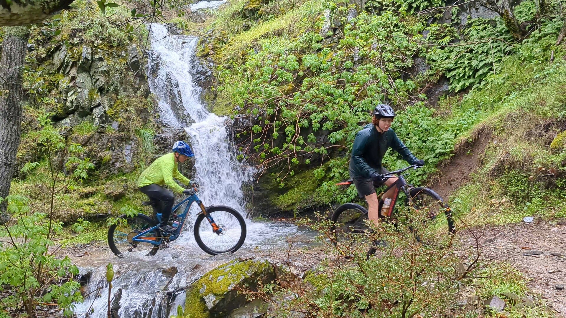 Doug Cutting (@cutting@sfba.social) - SFBA.social