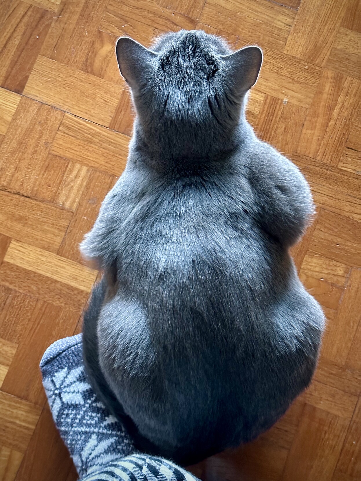 Christel van der Boom (@xtel@sfba.social) - SFBA.social