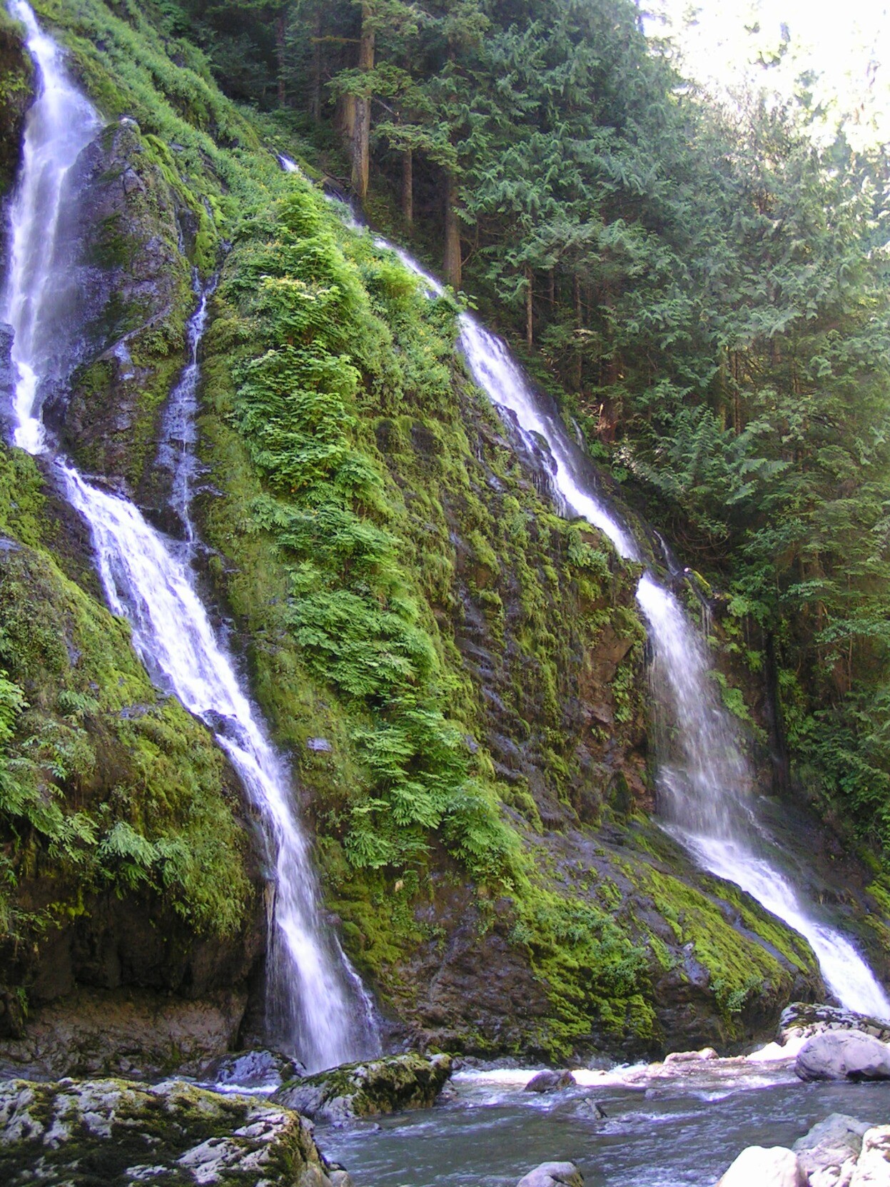 Miragee (@Miragee@sfba.social) - SFBA.social