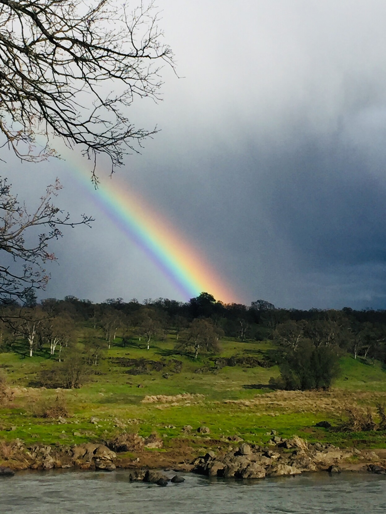 Right Angles In Nature