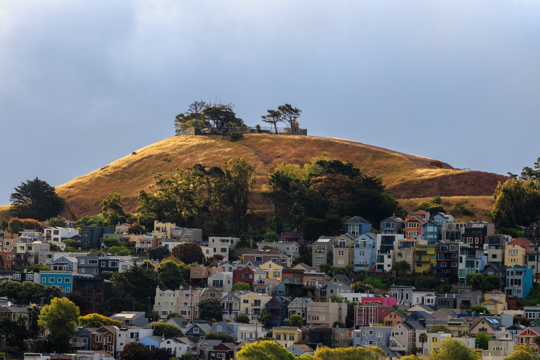 Johnson 🏳️‍🌈🤓 (@darkfoxprime@sfba.social) - SFBA.social