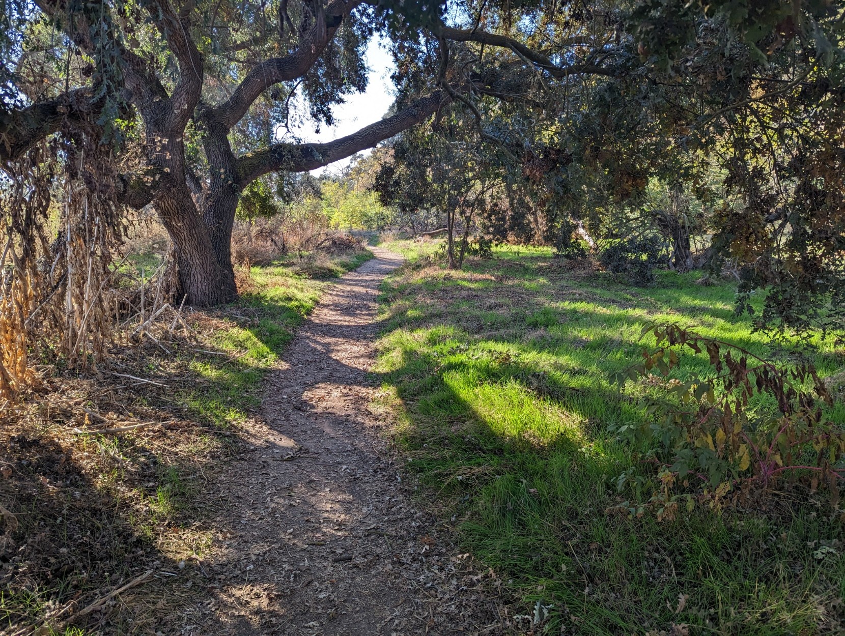 Geotripper (@Geotripper@sfba.social) - SFBA.social