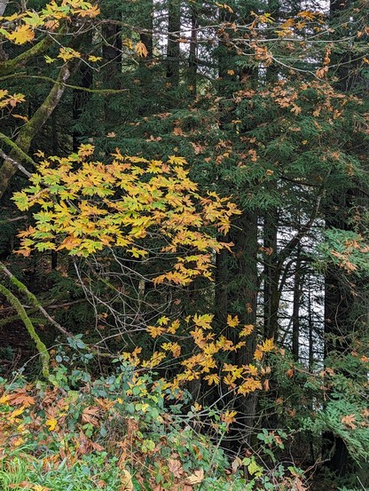 Geotripper (@Geotripper@sfba.social) - SFBA.social