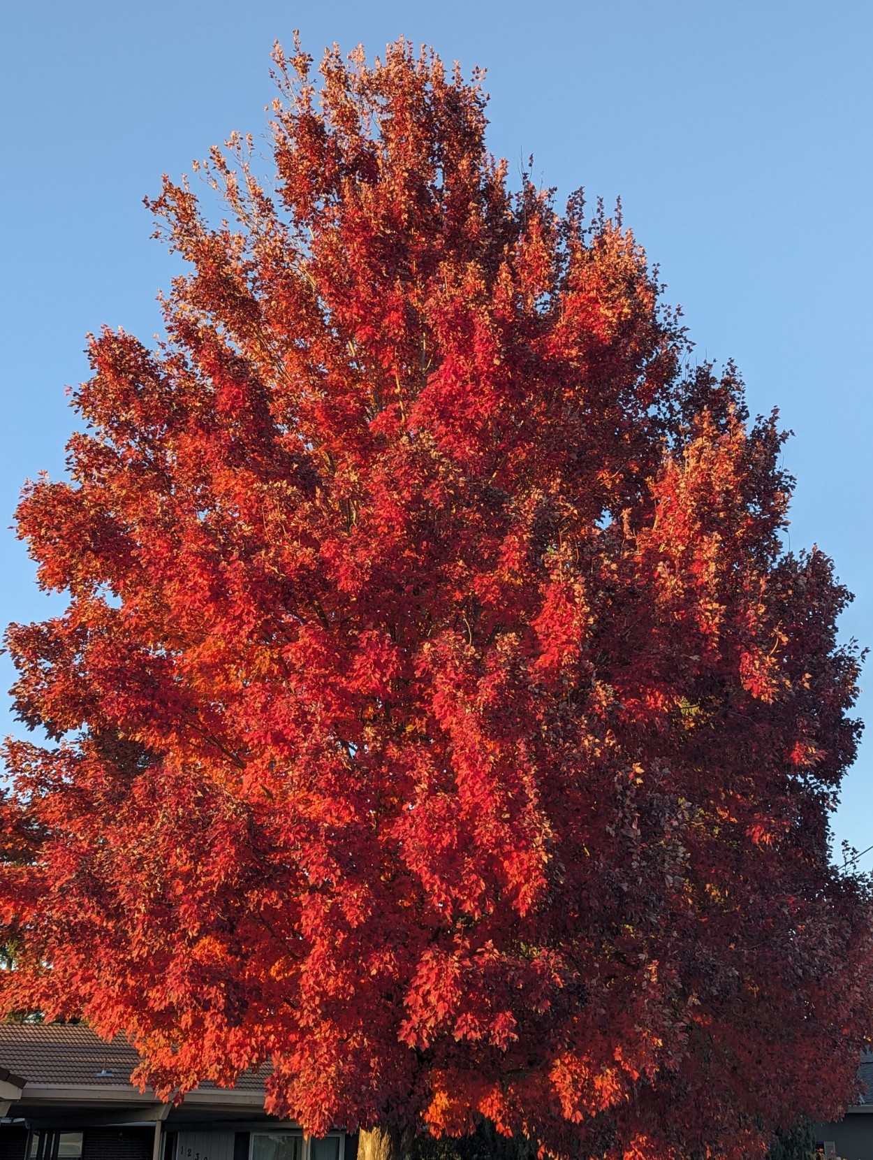 Geotripper (@Geotripper@sfba.social) - SFBA.social