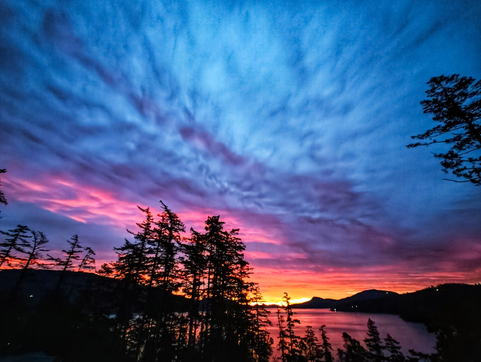 Tim Staines (@Staines@sfba.social) - SFBA.social