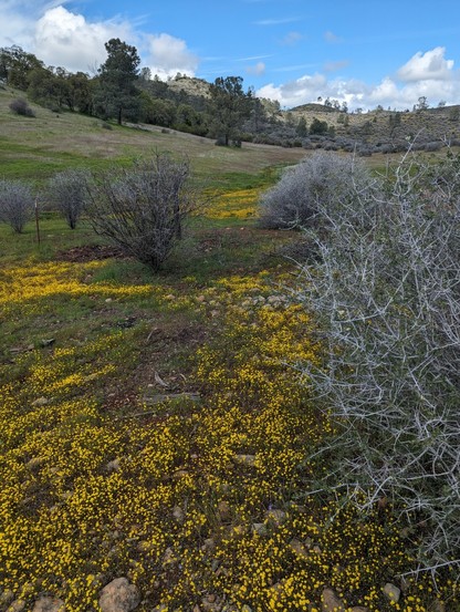 Geotripper (@Geotripper@sfba.social) - SFBA.social