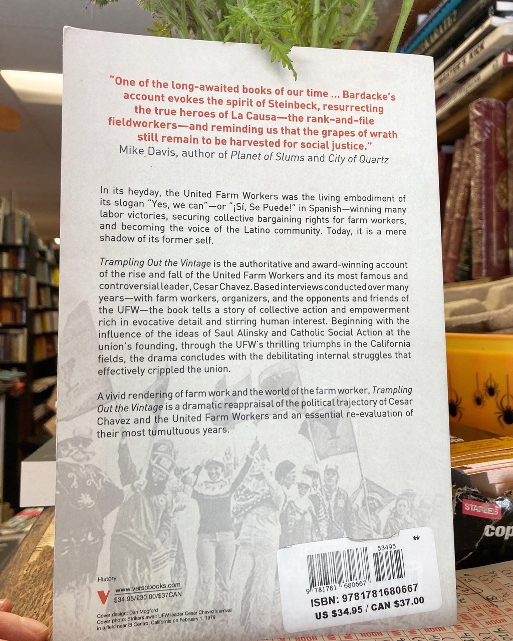 Recycle Bookstore (@RecycleBookstore@sfba.social) - SFBA.social