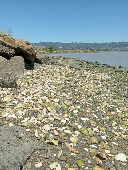 Niles Essanay SilentFilmMuseum (@Essanay@sfba.social) - SFBA.social