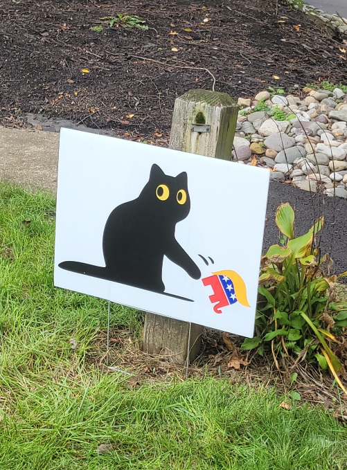 Daniel Sofer :kyoto: (@daniel@famichiki.jp) - Famichiki